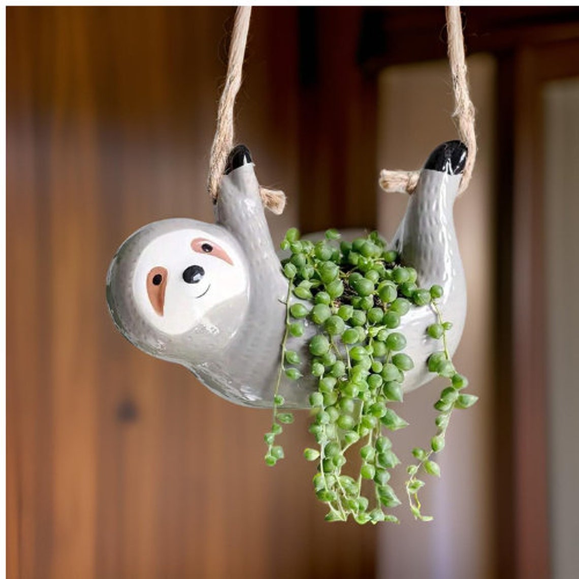 Playful Sloth Garden Planters Novelty Hanging Flower Pots, Cute Animal ...