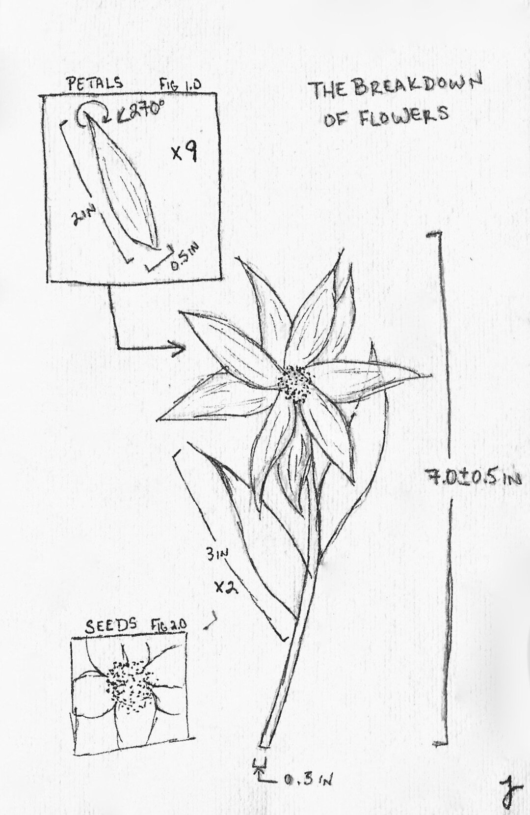 Breakdown of Flowers - Etsy