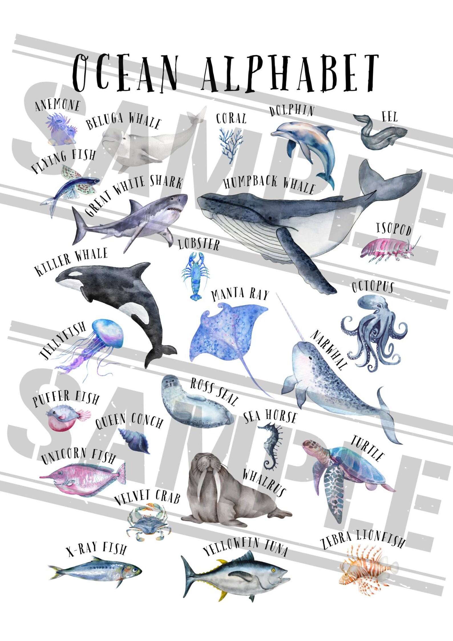 Ocean Alphabet Poster - A3 - Etsy