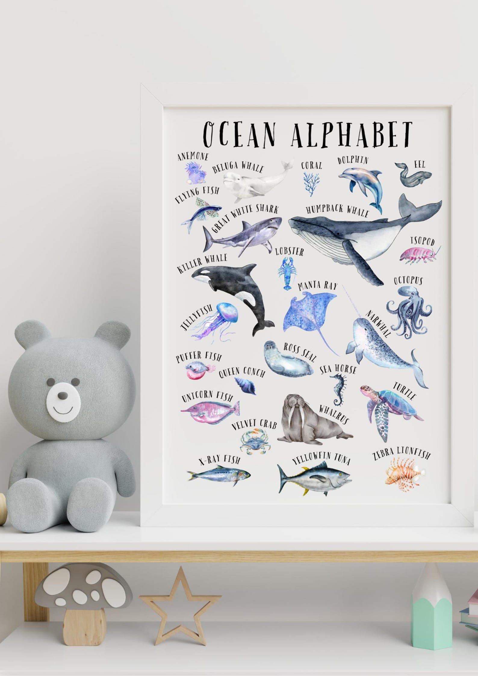 Ocean Alphabet Poster - A3 - Etsy