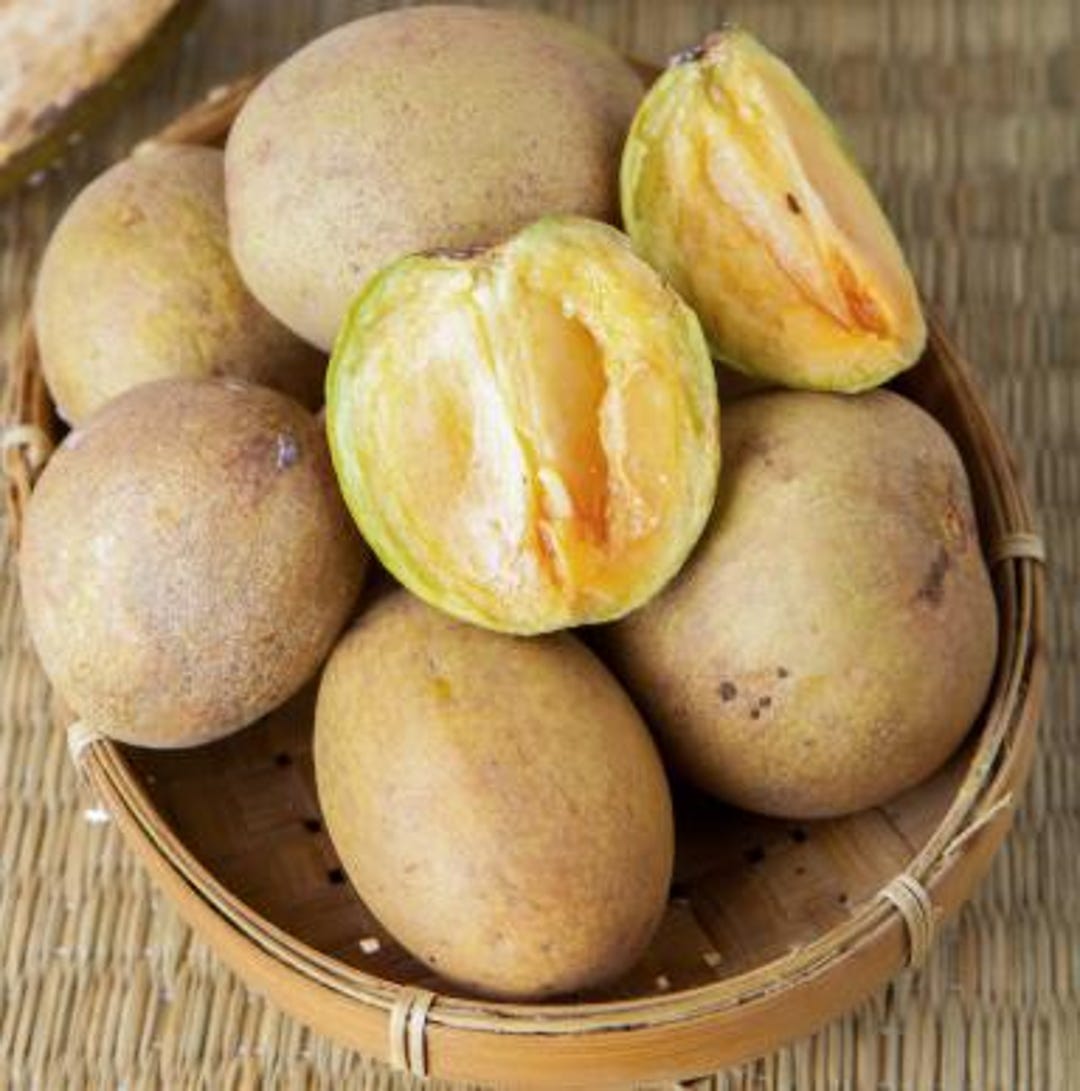 Fresh Sapodilla (chico Fruit) - Sweet, Juicy, and Exotic Tropical ...