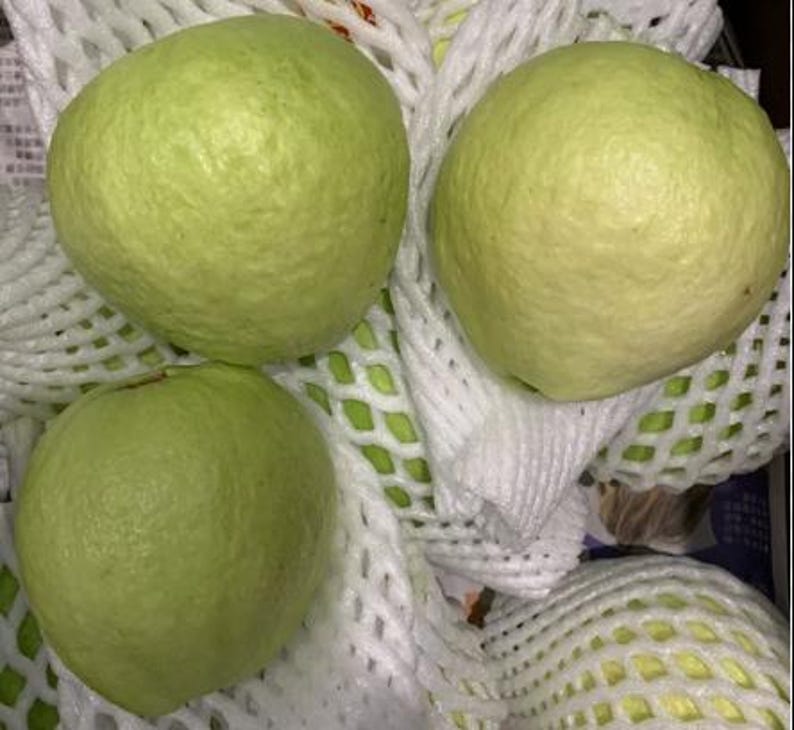 Fresh Chinese Guava - Tiny, Juicy Tropical Gems - Etsy