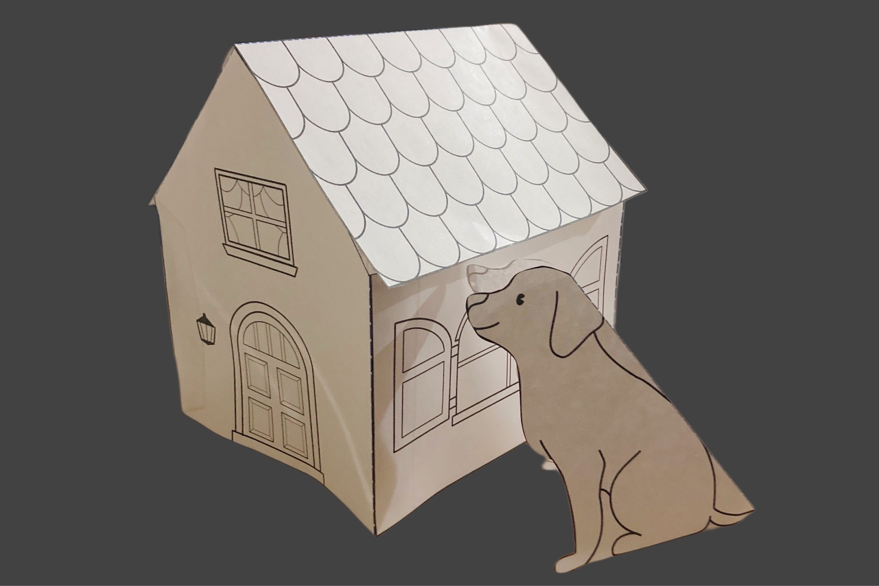 DIY Printable Paper Craft: Build Your Own Tiny House and Adorable Paper ...