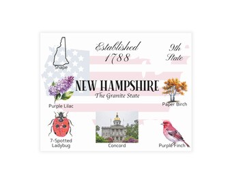 New Orleans Postcard Bundles envelopes Not Included - Etsy