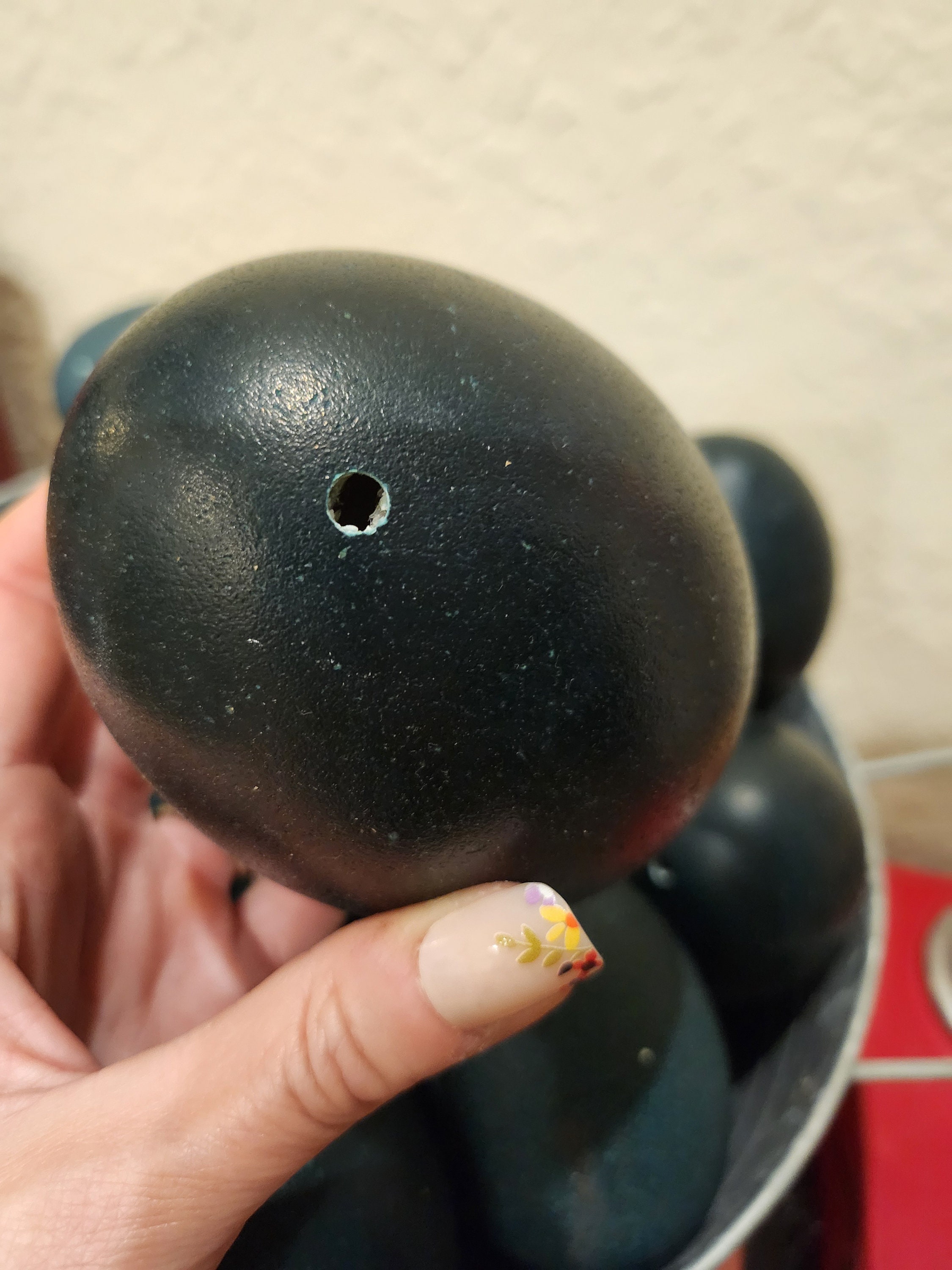 Blown Out Emu Eggs - Etsy