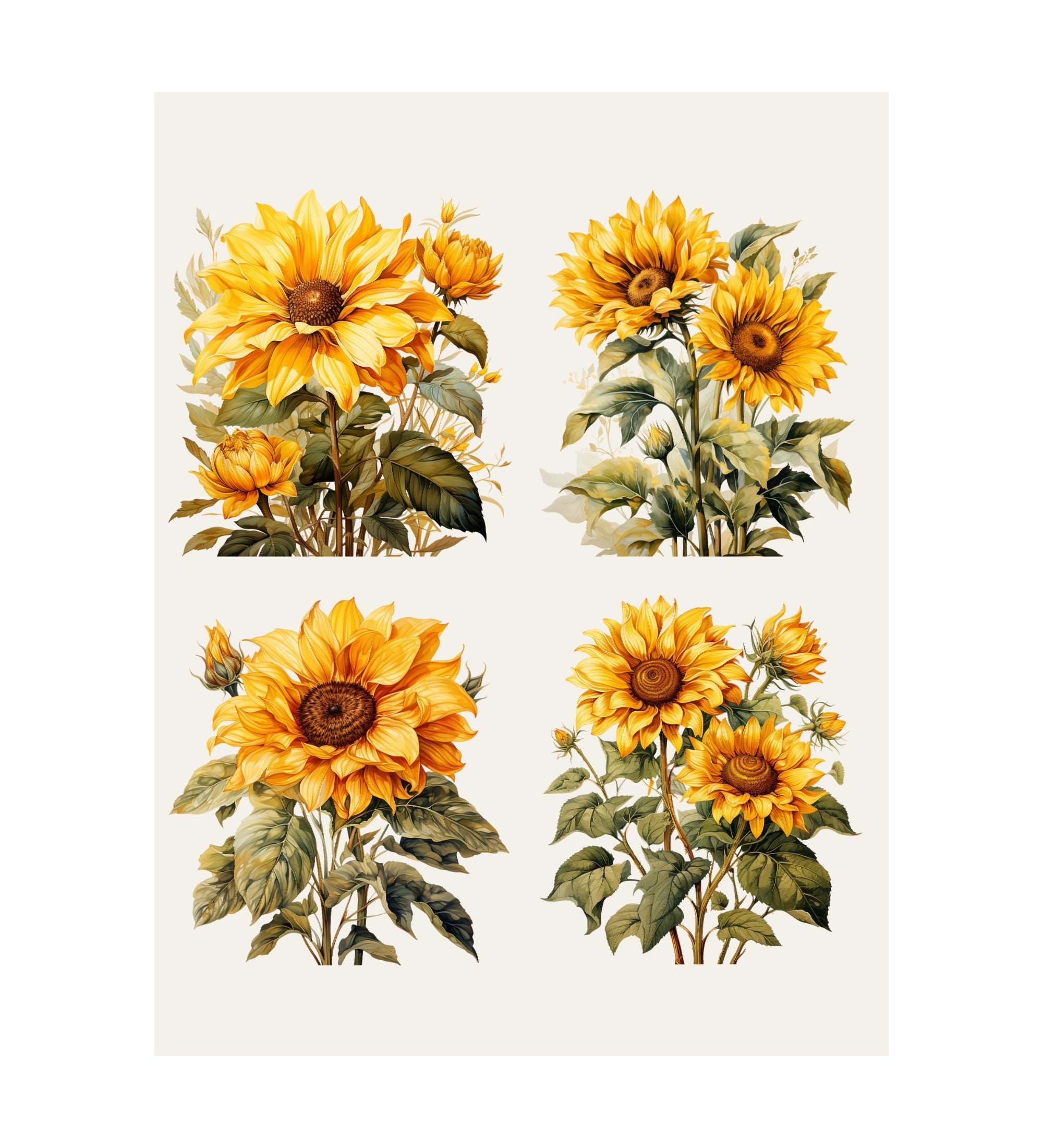 Watercolor Sunflower Clipart | Flower Collection - 10 Digital PNG ...