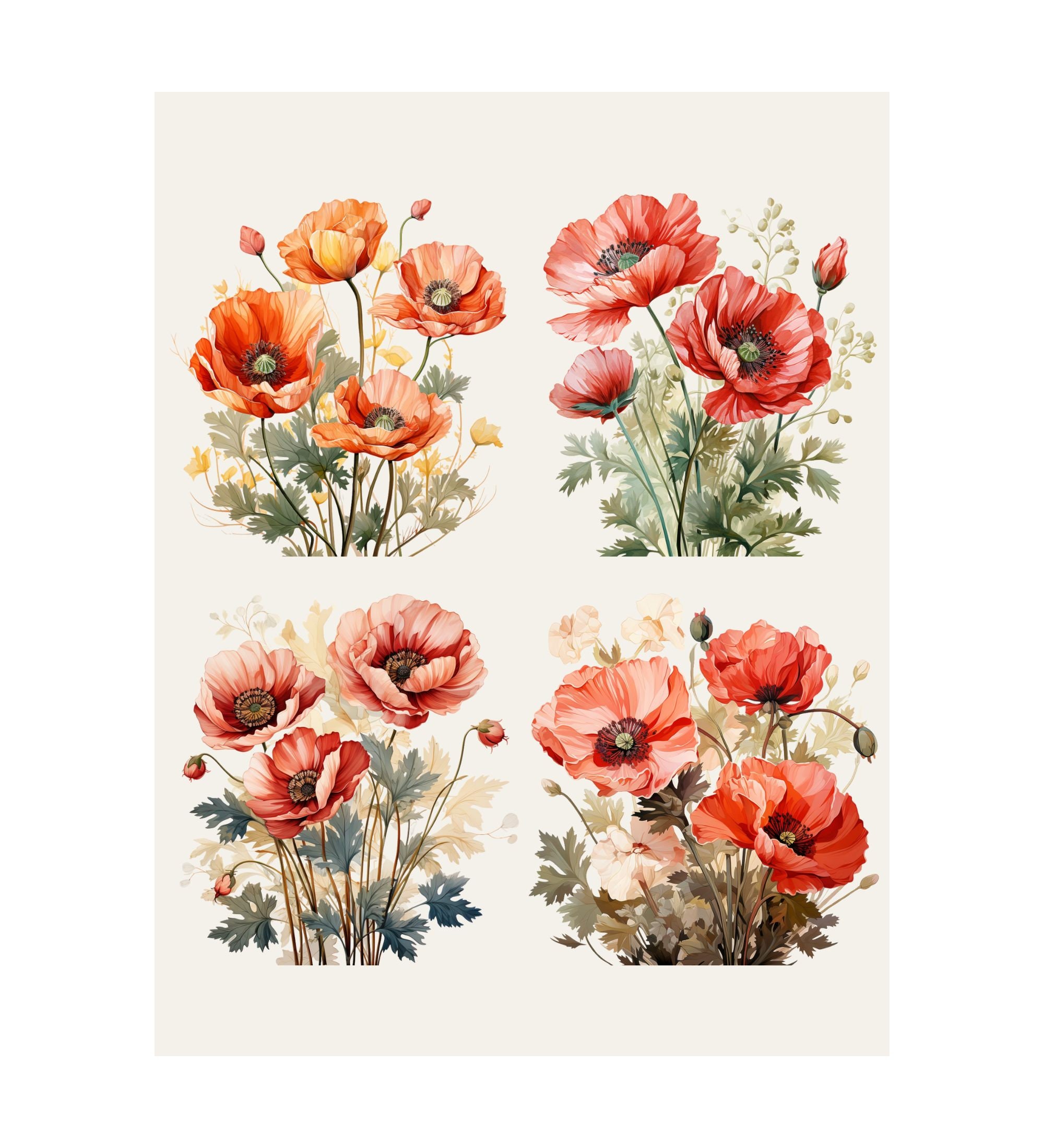 Watercolor Poppy Clipart Flower Collection 10 Digital PNG Flowers ...