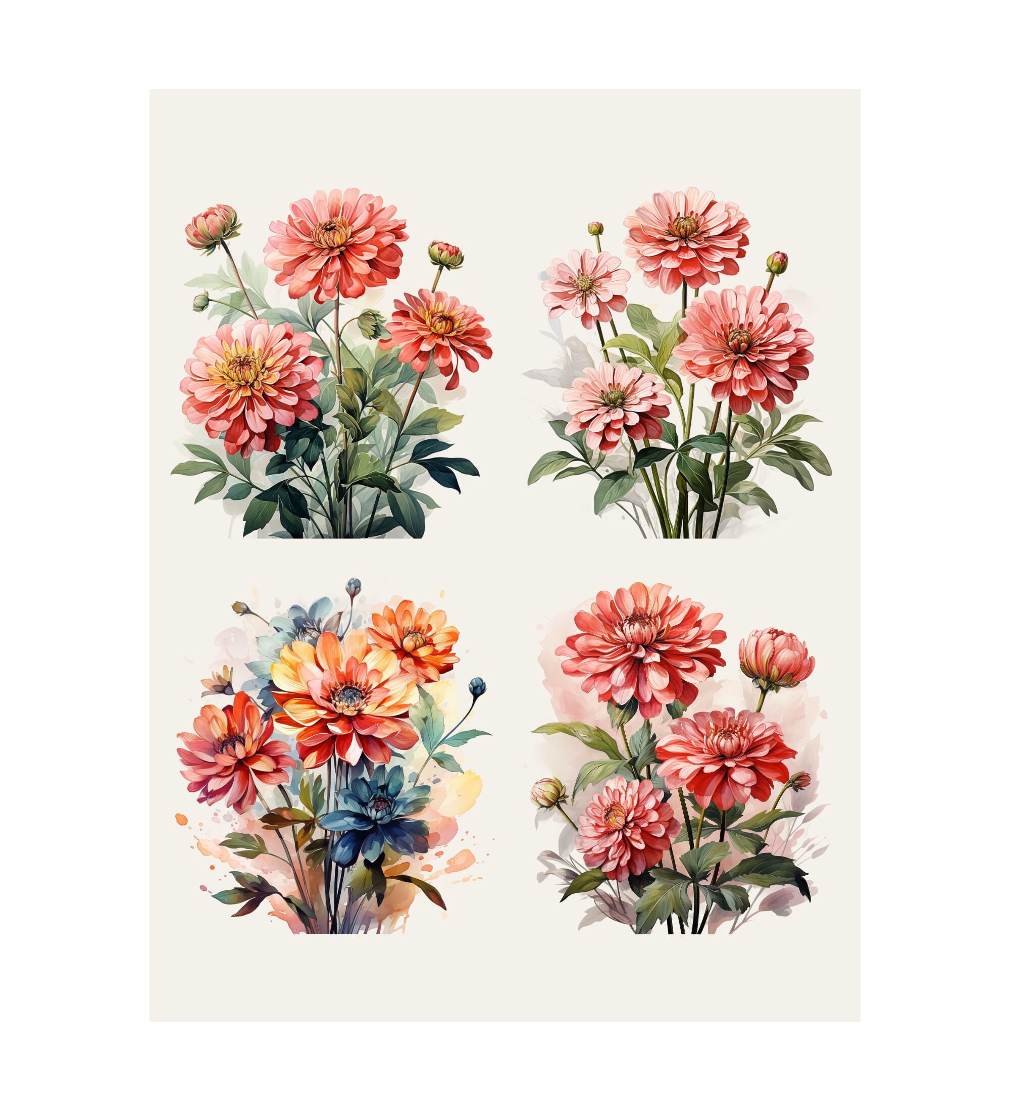 Watercolor Zinnia Clipart | Flower Collection - 10 Digital PNG Flowers ...