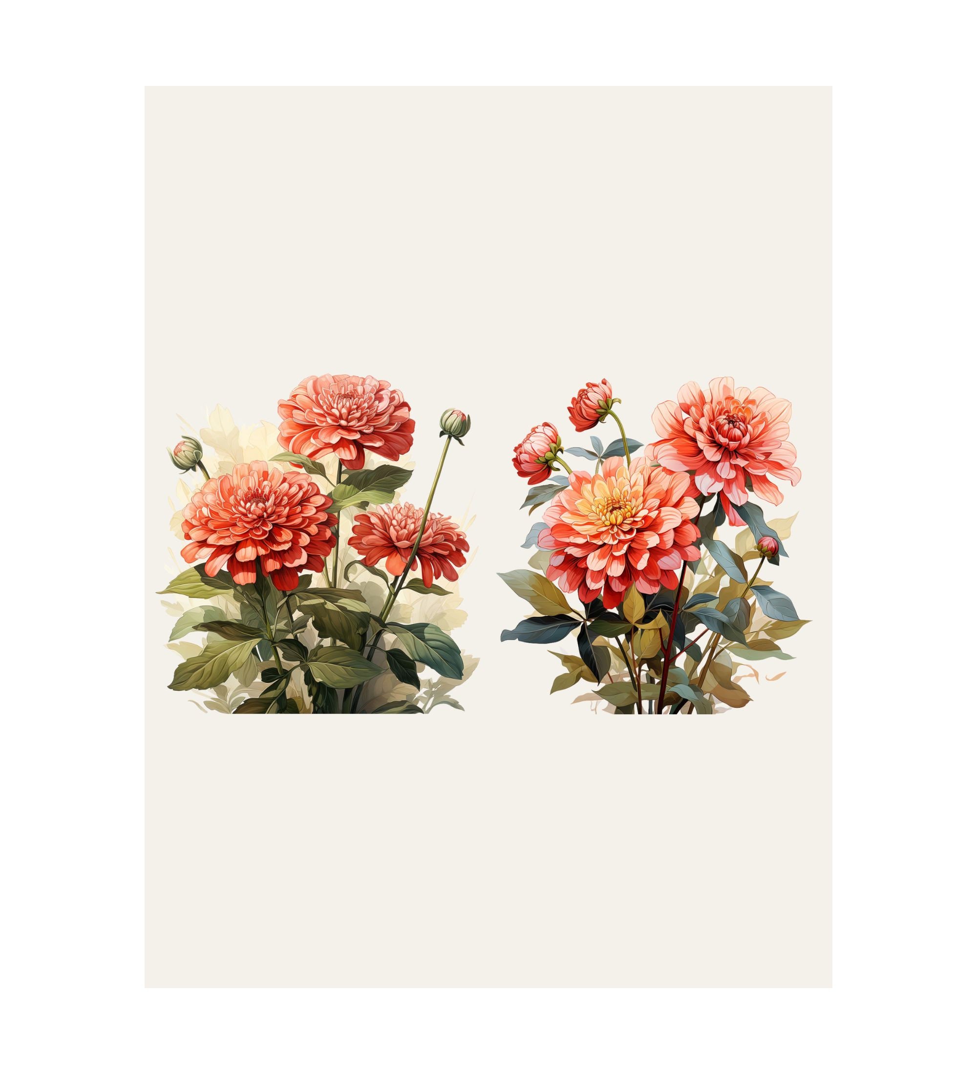 Watercolor Zinnia Clipart | Flower Collection - 10 Digital PNG Flowers ...