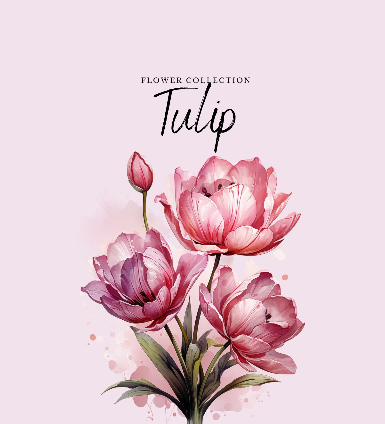 Watercolor Tulip Clipart | Flower Collection (digital PNG) - Etsy
