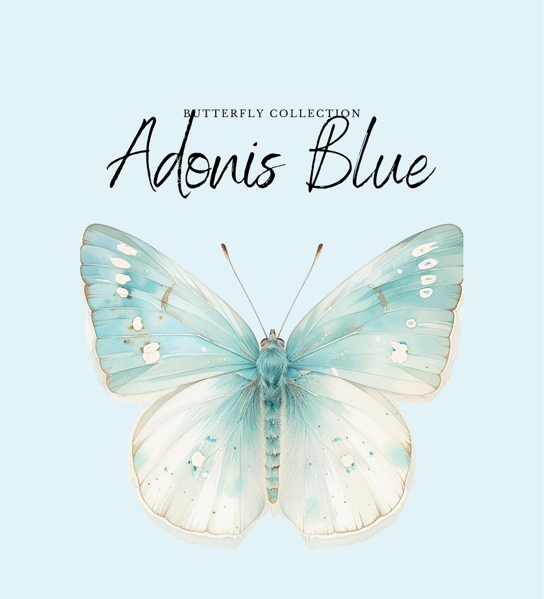 Watercolor Adonis Blue Clipart | Butterfly Collection - 10 Digital PNG ...