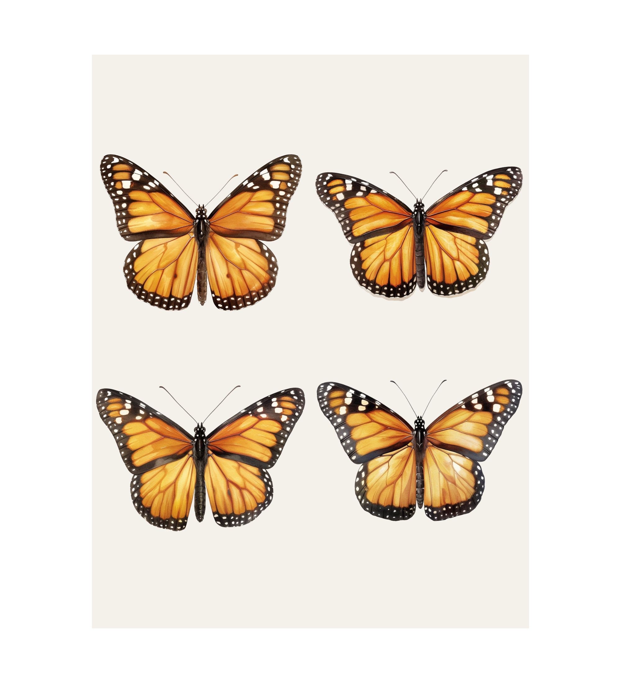 Watercolor Monarch Clipart | Butterfly Collection - 10 Digital PNG ...