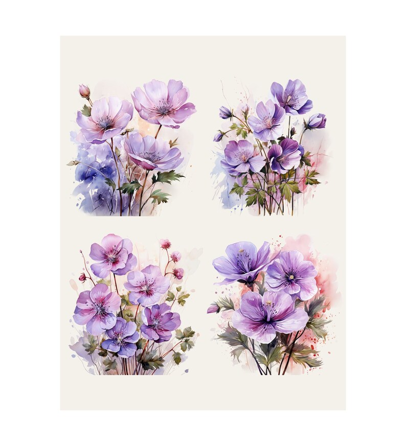 Watercolor Violet Clipart | Flower Collection - 10 Digital PNG Flowers ...