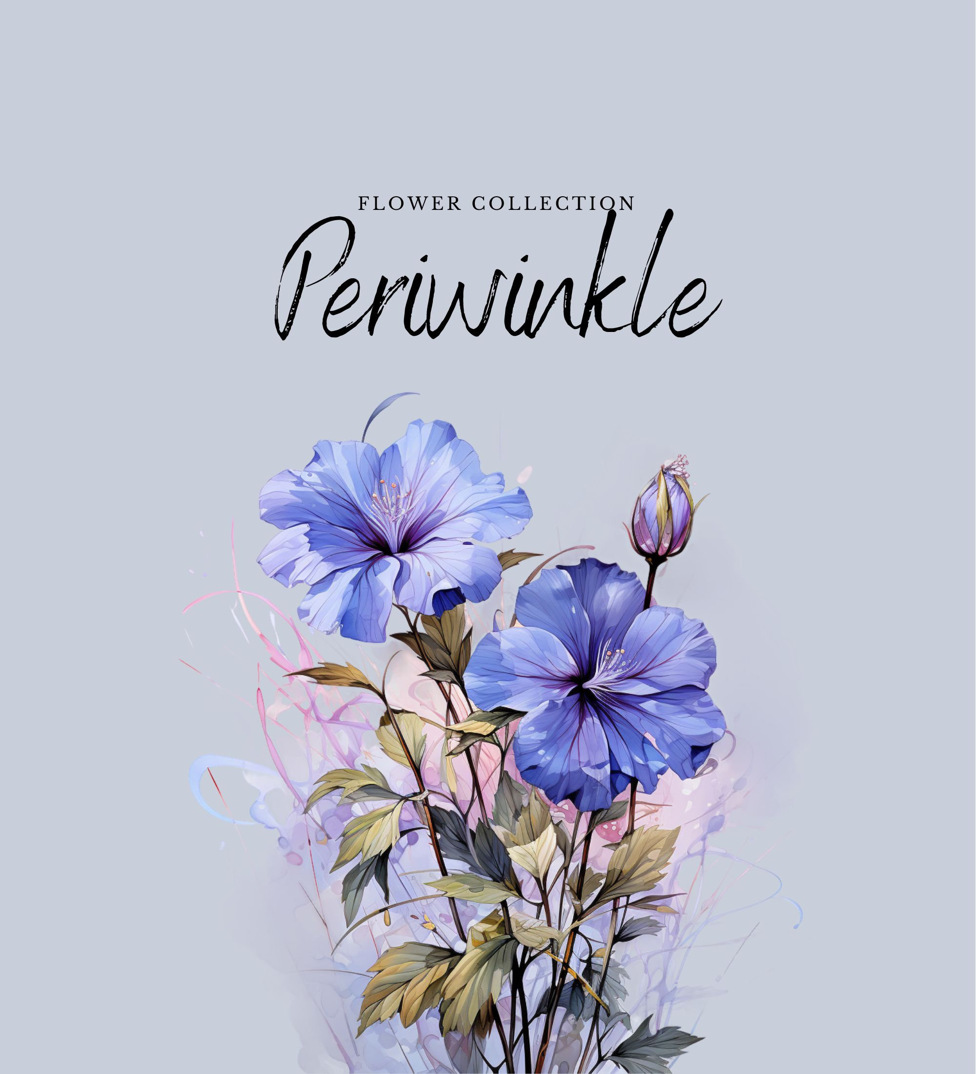 Watercolor Periwinkle Clipart | Flower Collection - 10 Digital PNG ...