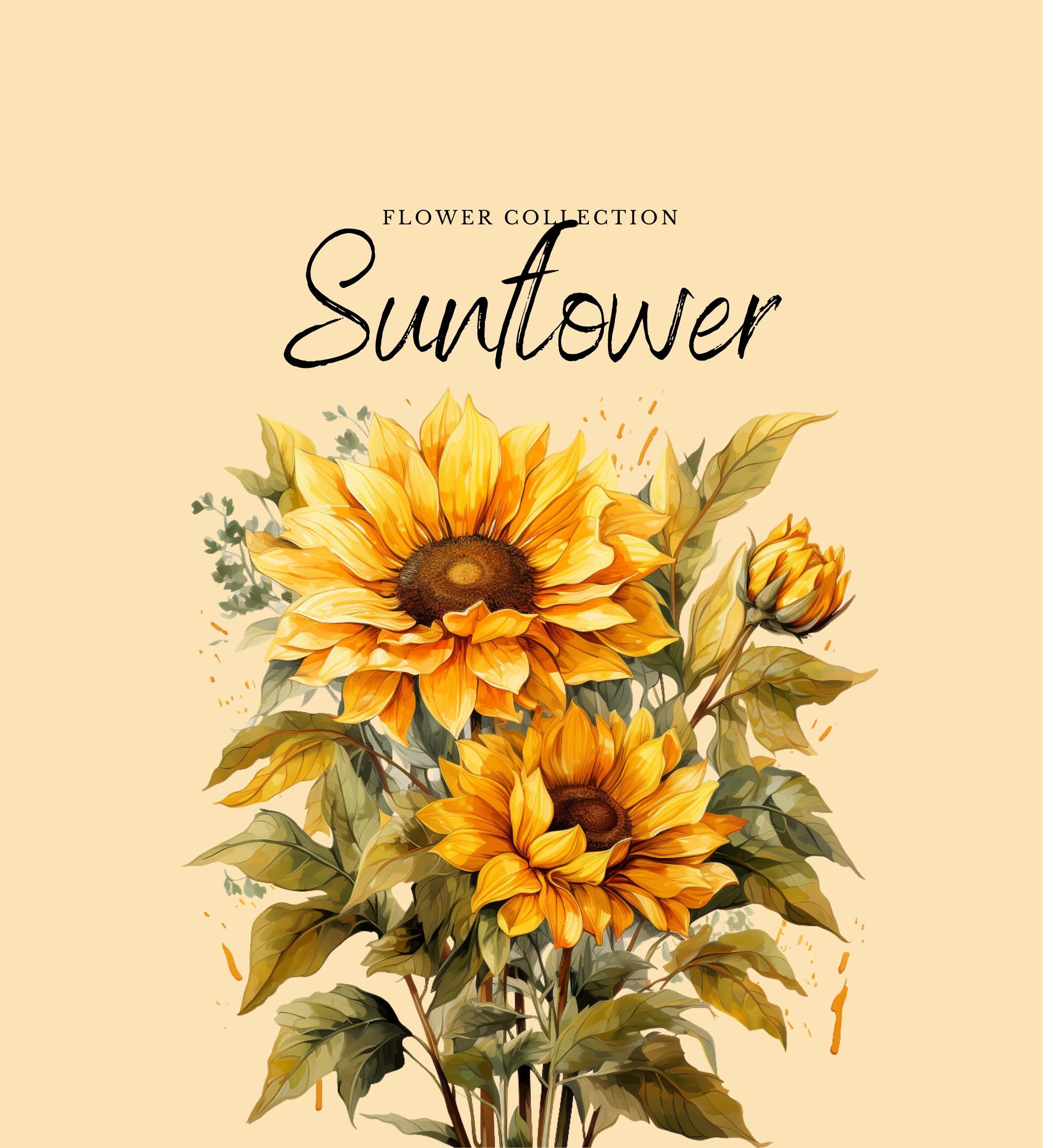 Watercolor Sunflower Clipart | Flower Collection - 10 Digital PNG ...