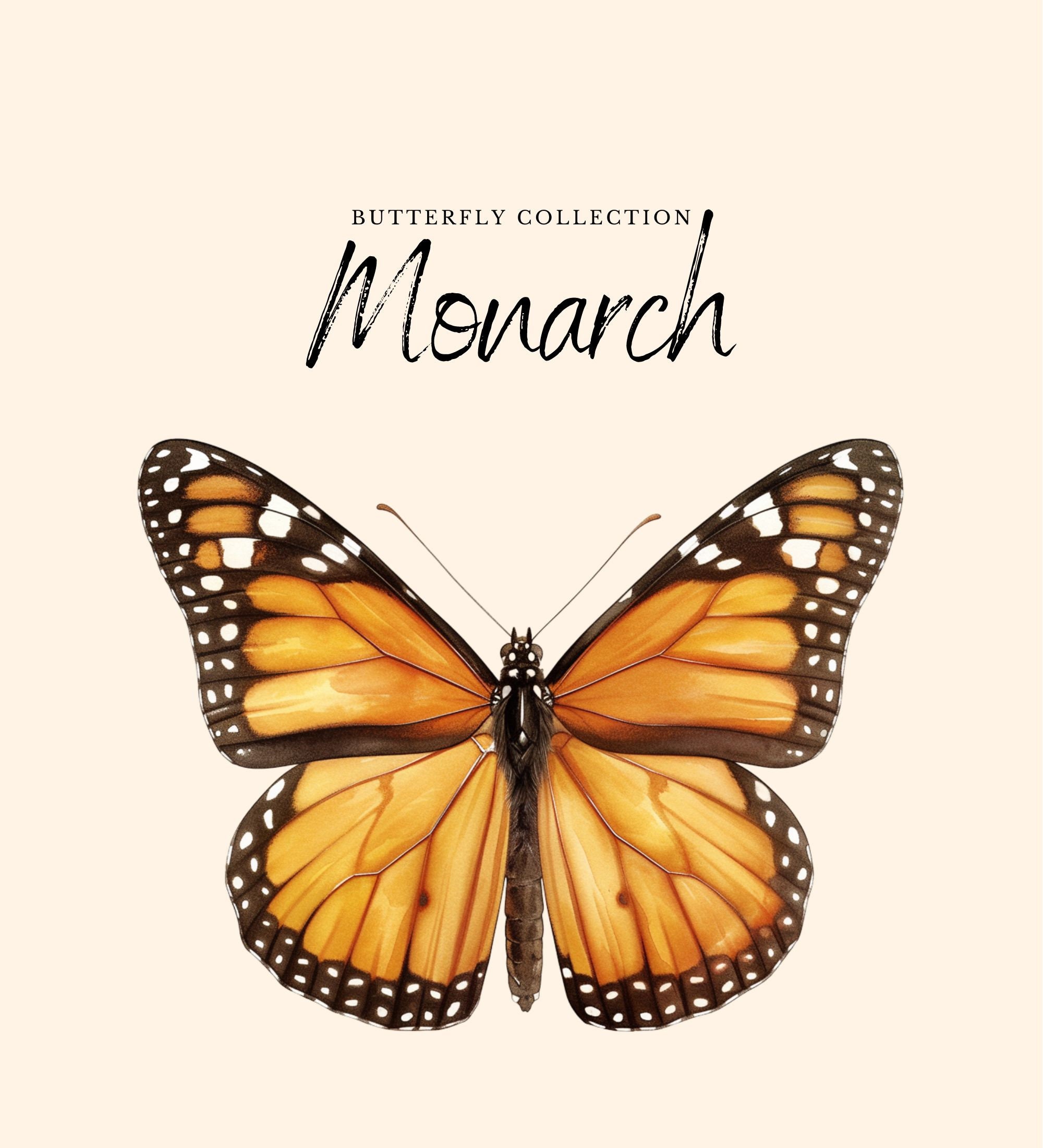 Watercolor Monarch Clipart | Butterfly Collection - 10 Digital PNG ...