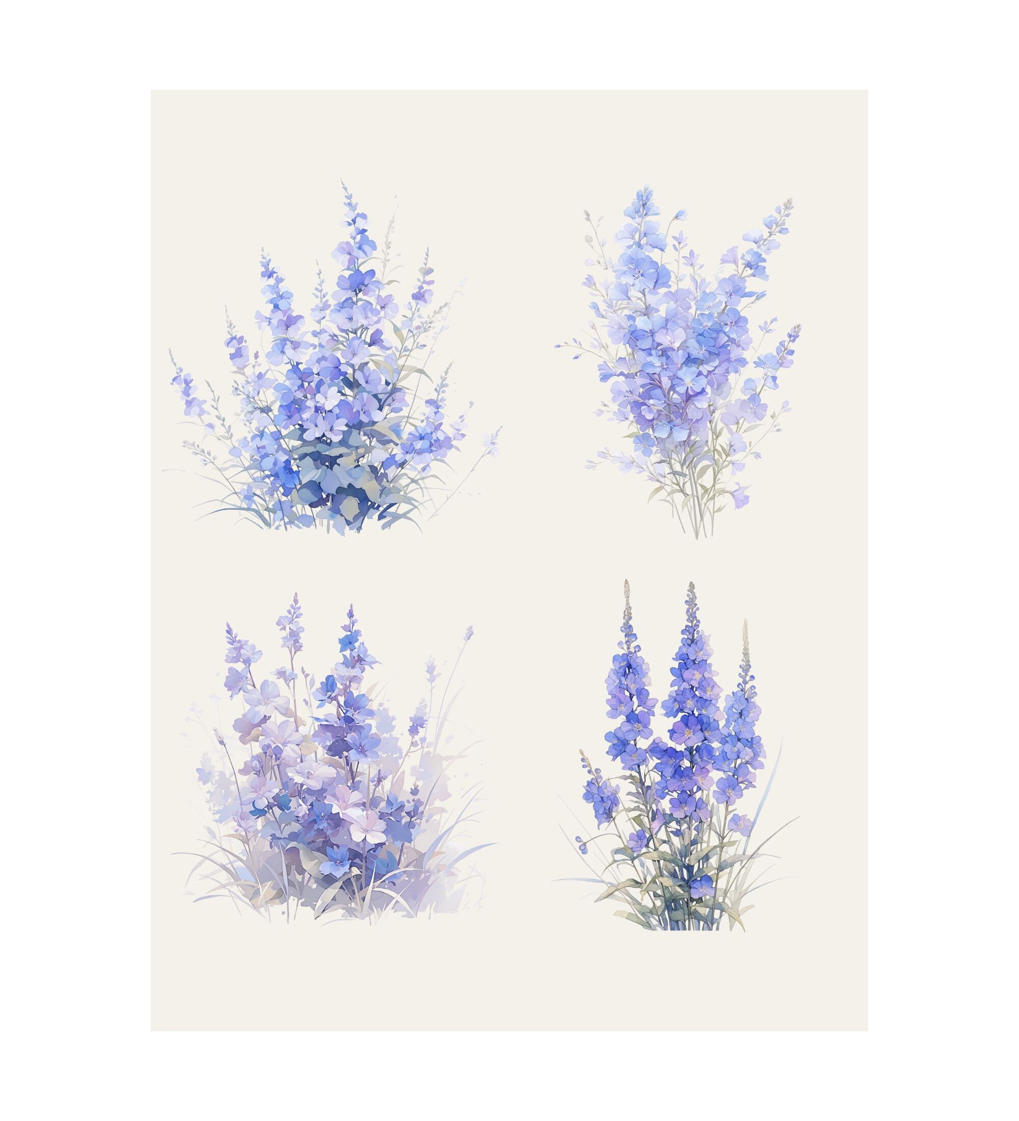 Watercolor Veronica Clipart | Flower Collection - 10 Digital PNG ...