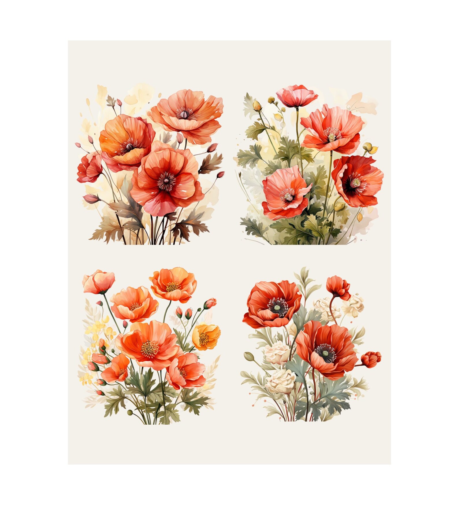 Watercolor Poppy Clipart | Flower Collection - 10 Digital PNG Flowers ...