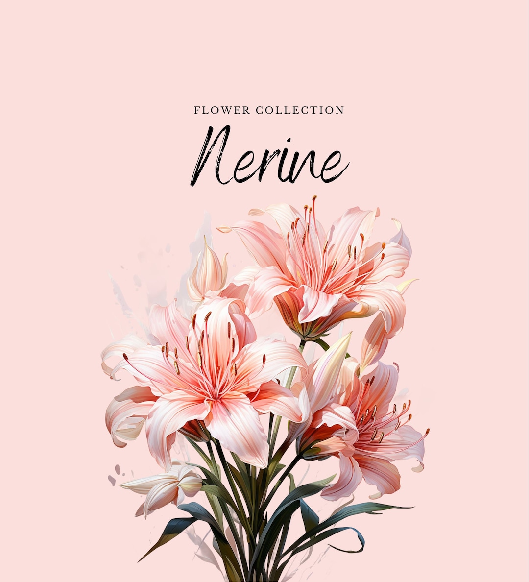 Watercolor Nerine Clipart | Flower Collection - 10 Digital PNG Flowers ...