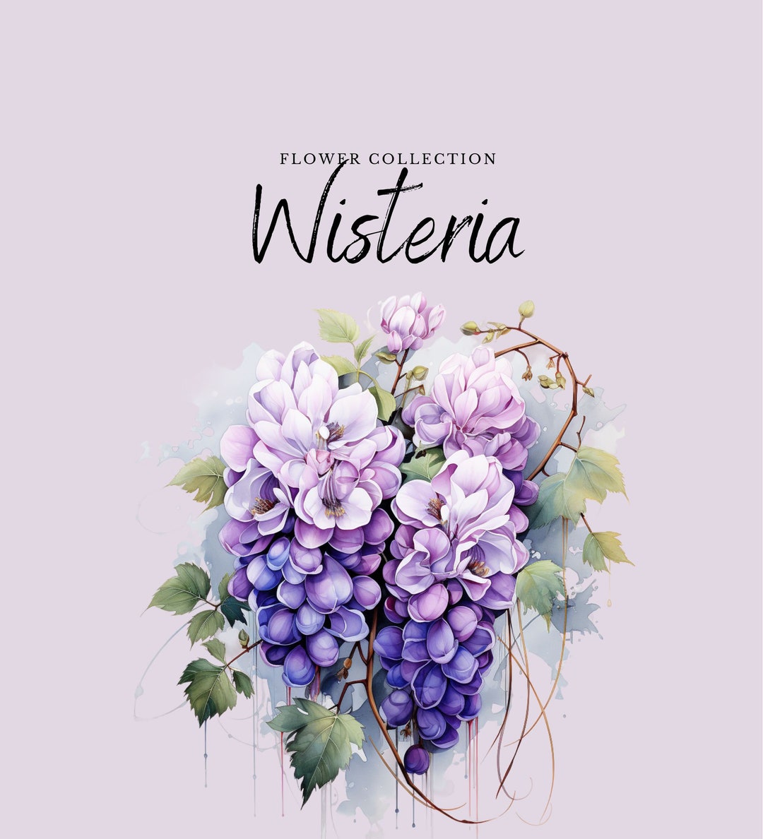 Watercolor Wisteria Clipart | Flower Collection - 10 Digital PNG ...