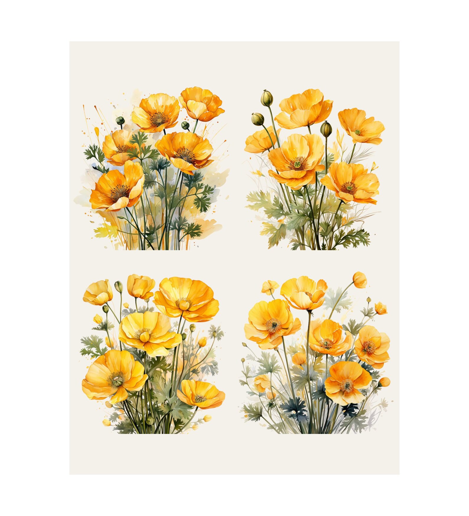 Watercolor Buttercup Clipart | Flower Collection - 10 Digital PNG ...