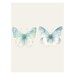 Watercolor Adonis Blue Clipart | Butterfly Collection - 10 Digital PNG ...