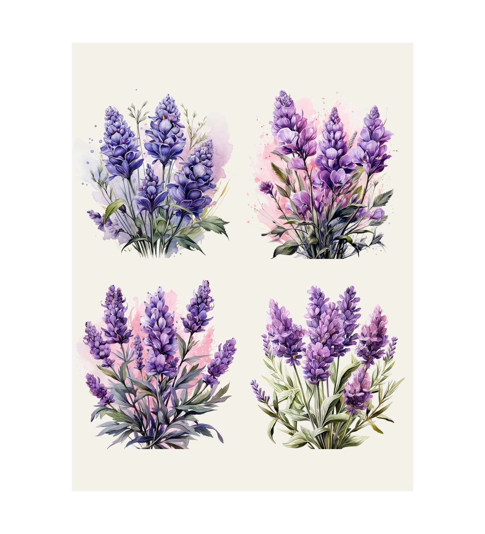 Watercolor Lavender Clipart | Flower Collection - 10 Digital PNG ...