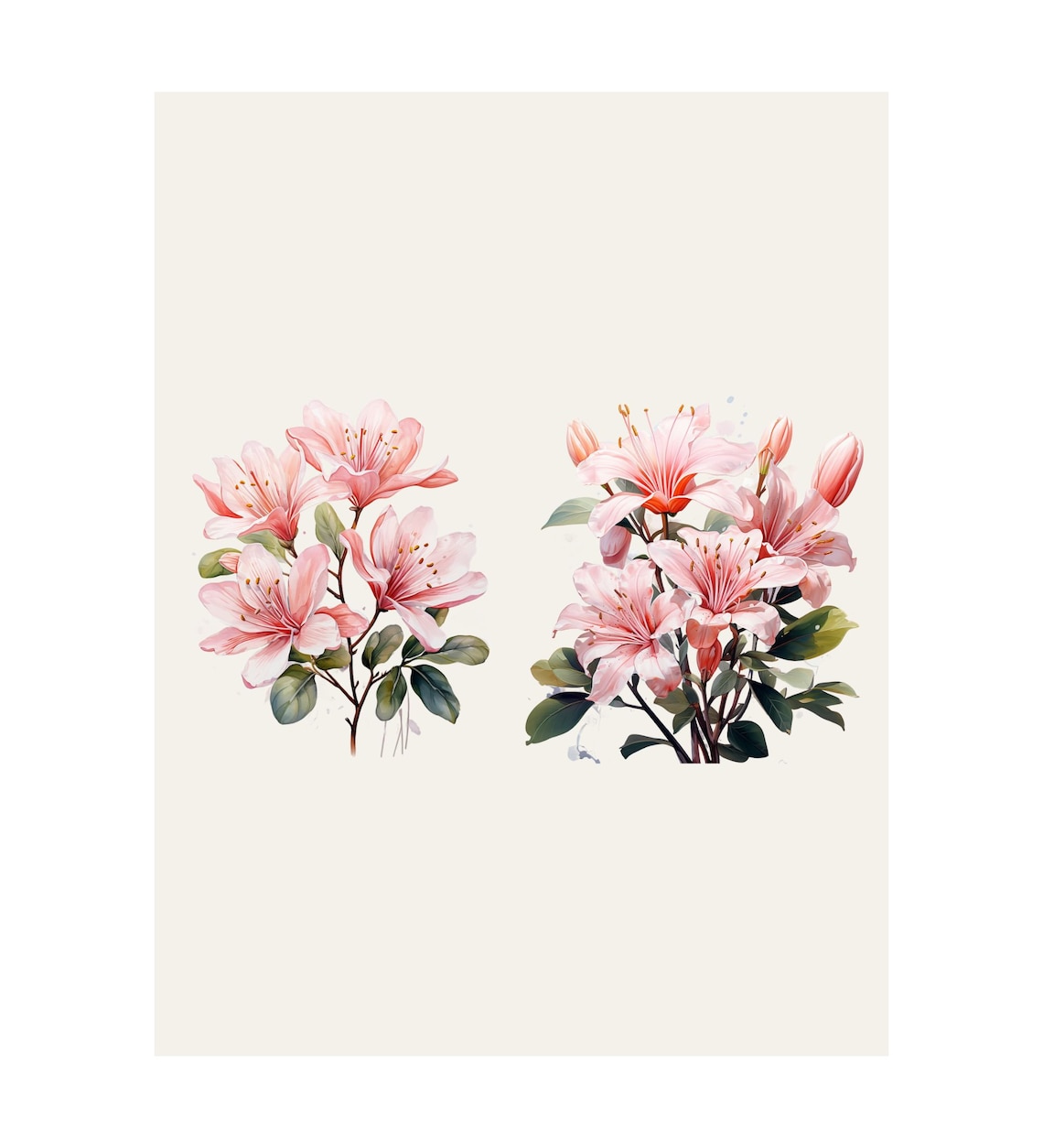 Watercolor Honeysuckle Clipart | Flower Collection - 10 Digital PNG ...
