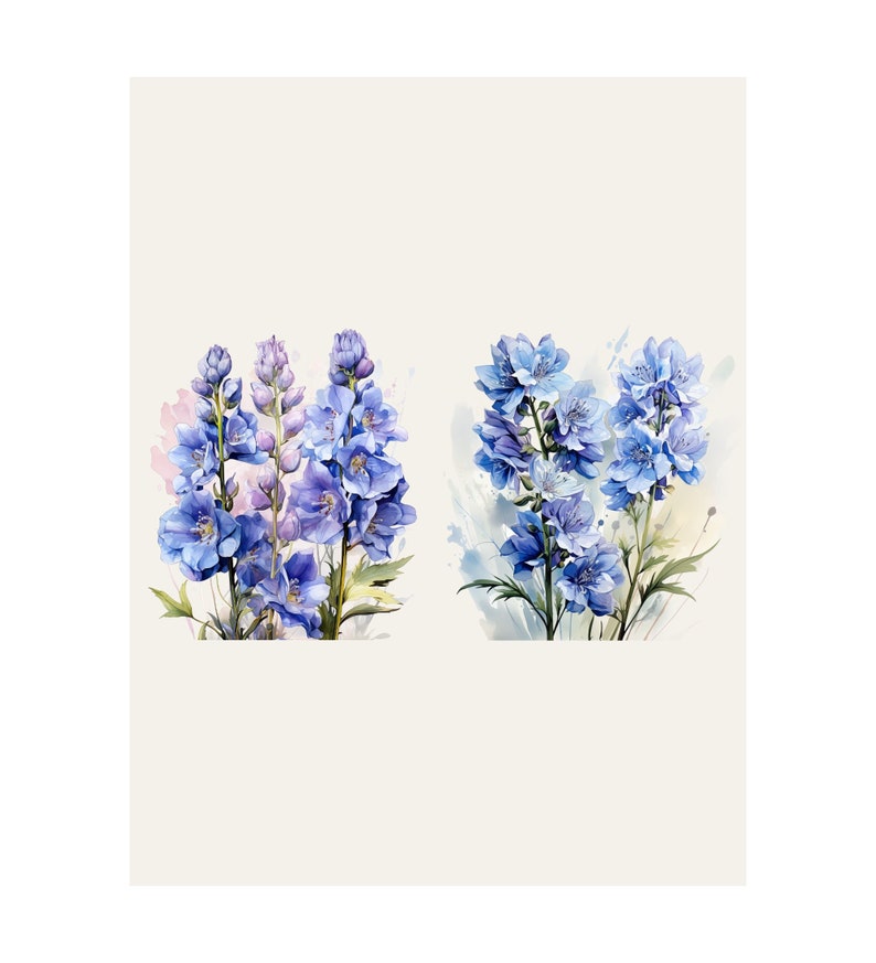Watercolor Delphinium Flower Clipart | 10 PNG Floral Designs (digital ...