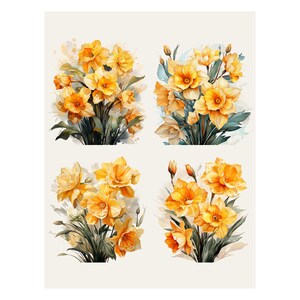 Watercolor Daffodil Clipart | Flower Collection - 10 Digital PNG ...
