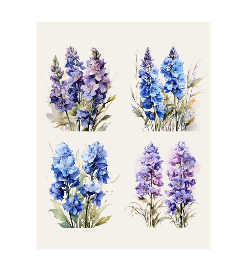 Watercolor Delphinium Clipart | Flower Collection - 10 Digital PNG ...