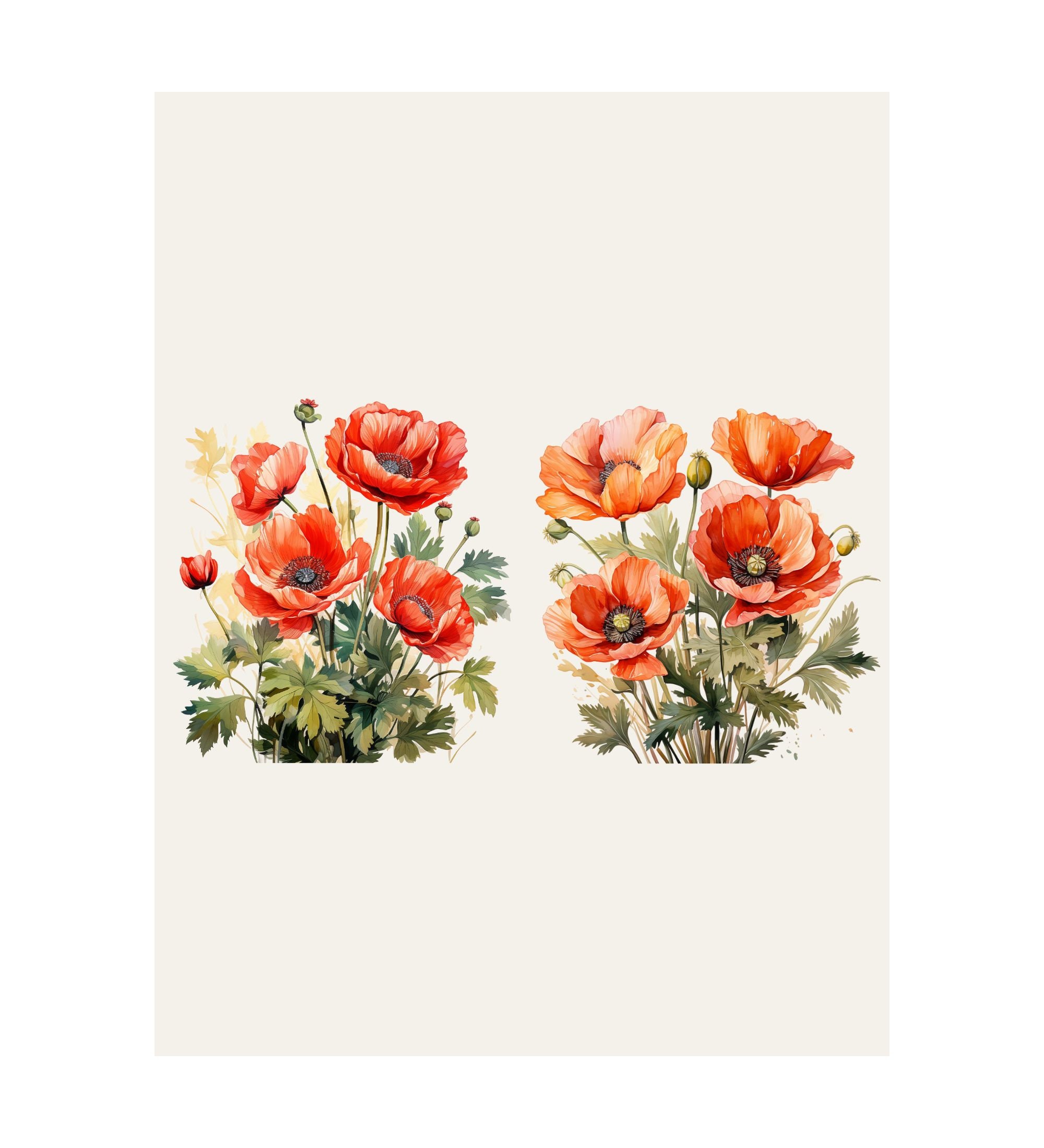 Watercolor Poppy Clipart Flower Collection 10 Digital PNG Flowers ...