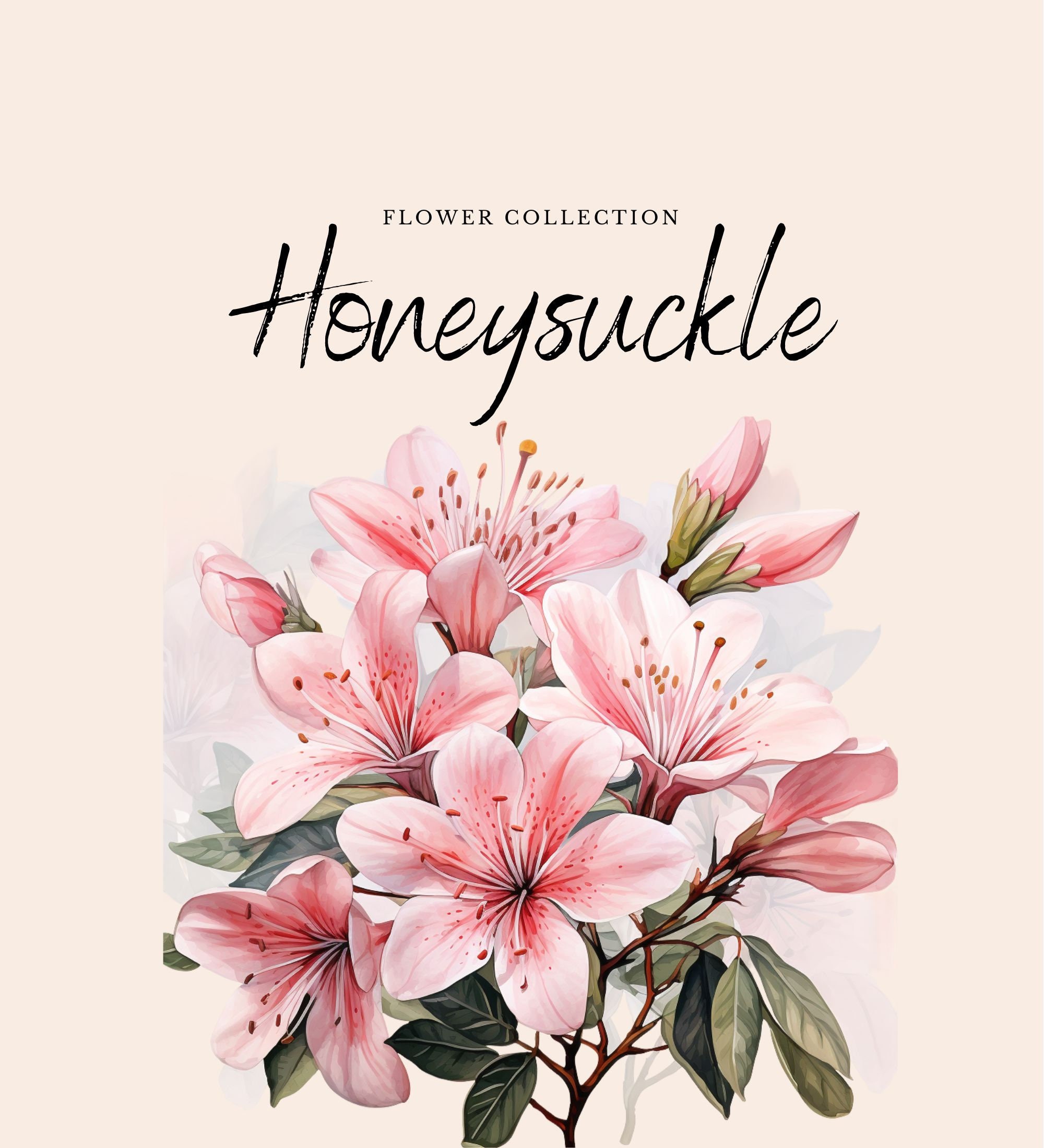 Watercolor Honeysuckle Clipart | Flower Collection - 10 Digital PNG ...