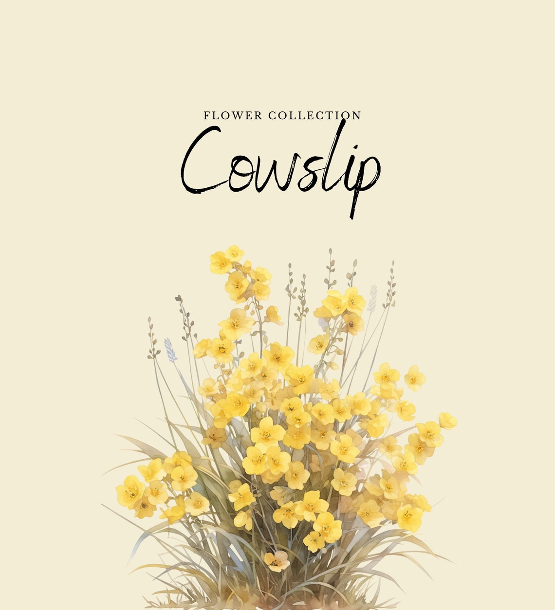 Watercolor Cowslip Clipart | Flower Collection - 10 Digital PNG Flowers ...