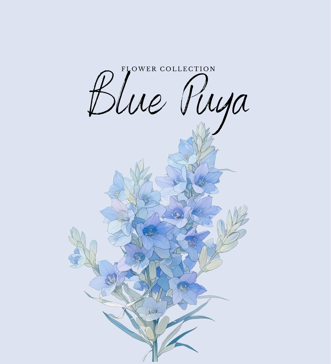 Watercolor Blue Puya Clipart | Flower Collection - 10 Digital PNG ...