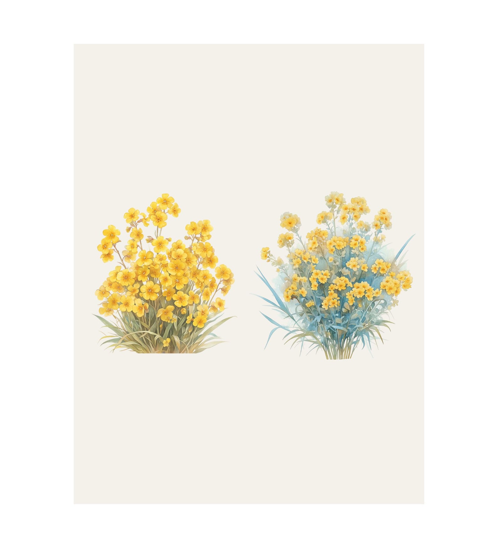 Watercolor Cowslip Clipart | Flower Collection - 10 Digital PNG Flowers ...