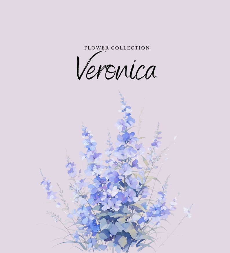 Watercolor Veronica Clipart | Flower Collection - 10 Digital PNG ...