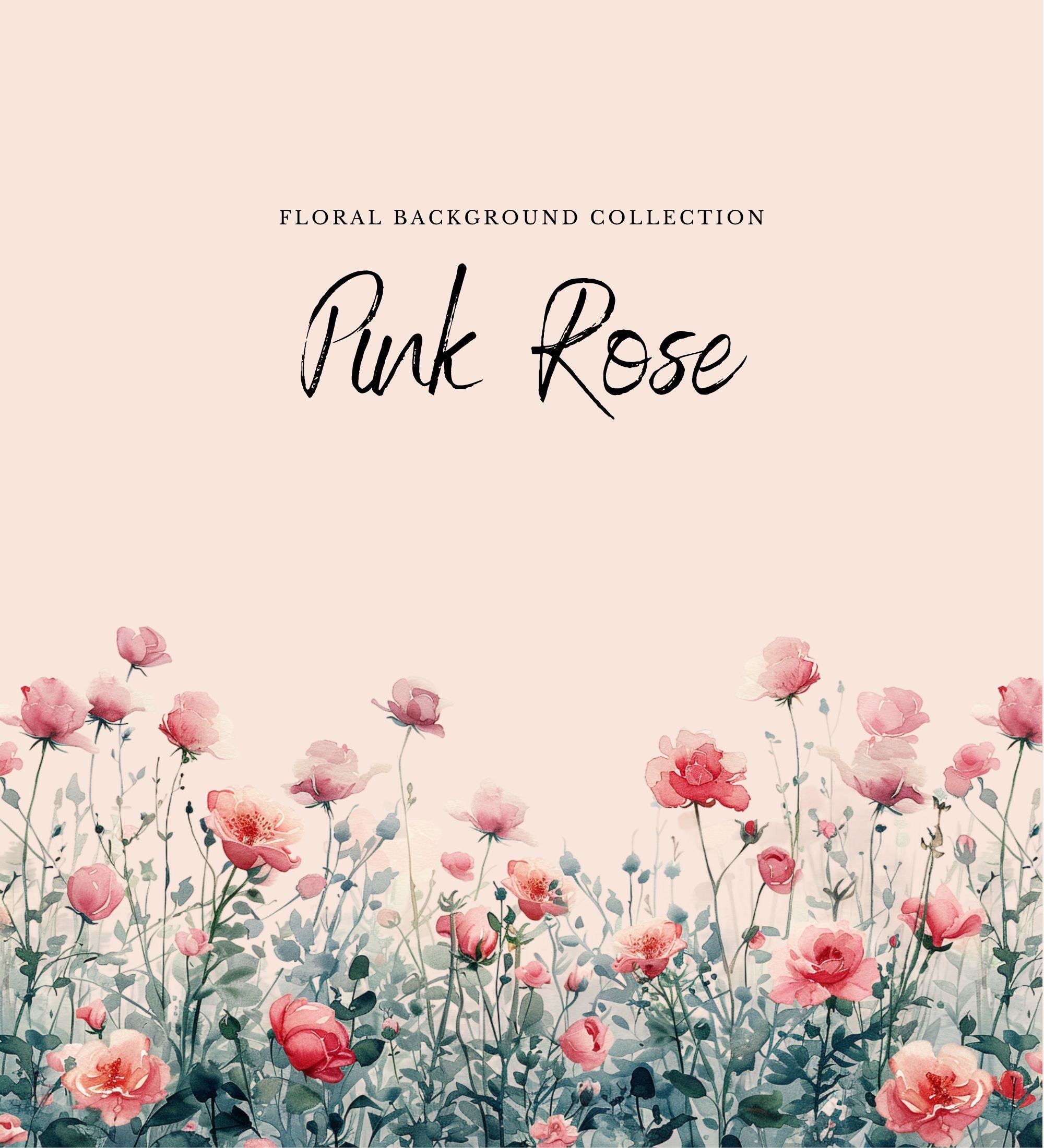 Watercolor Pink Rose Flowers Clipart Floral Background Collection 10 ...