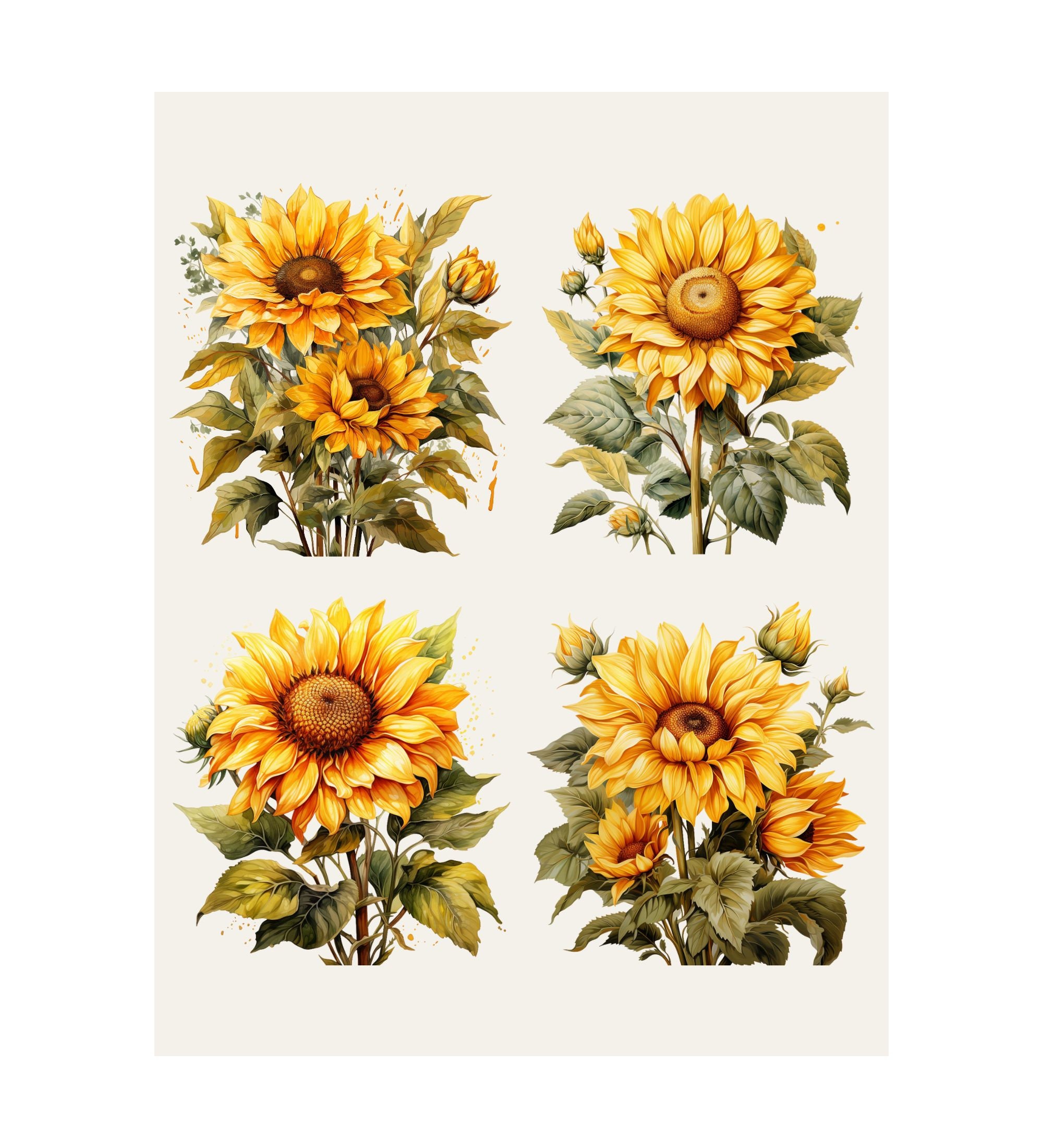 Watercolor Sunflower Clipart | Flower Collection - 10 Digital PNG ...