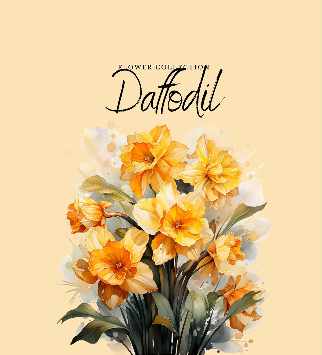 Watercolor Daffodil Clipart | Flower Collection - 10 Digital PNG ...