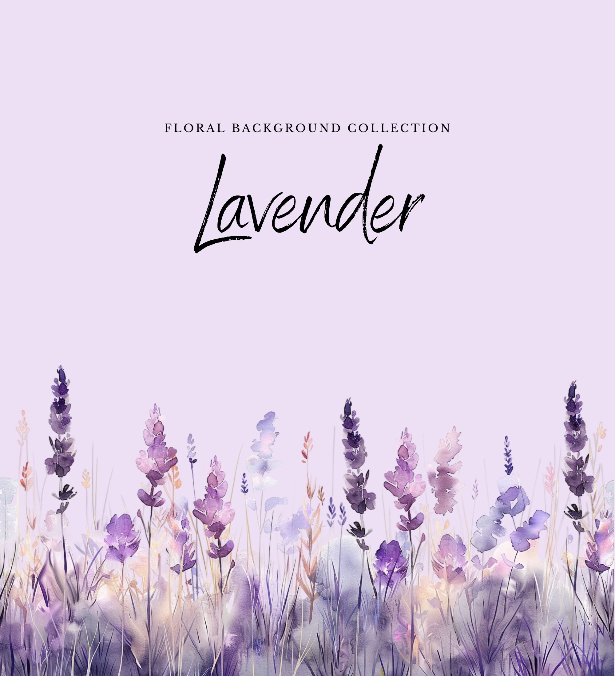 Watercolor Lavender Flowers Clipart Floral Background Collection 10 ...