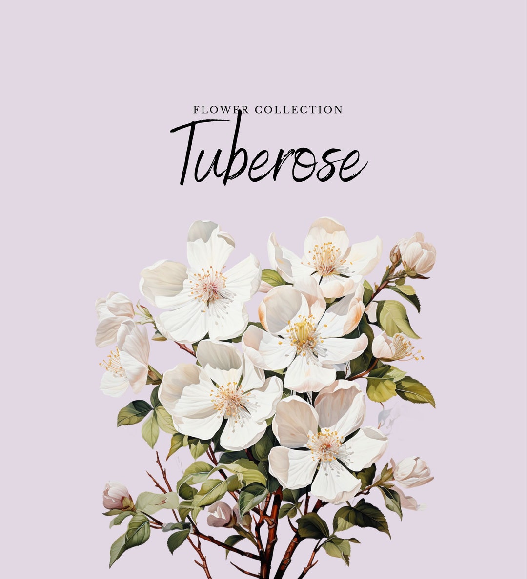 Watercolor Tuberose Clipart | Flower Collection - 10 Digital PNG ...