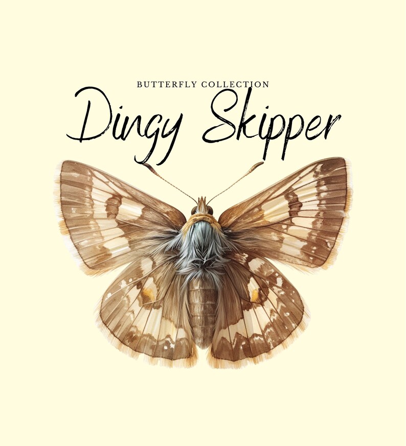 Watercolor Dingy Skipper Clipart | Butterfly Collection - 10 Digital PNG Butterflies ...