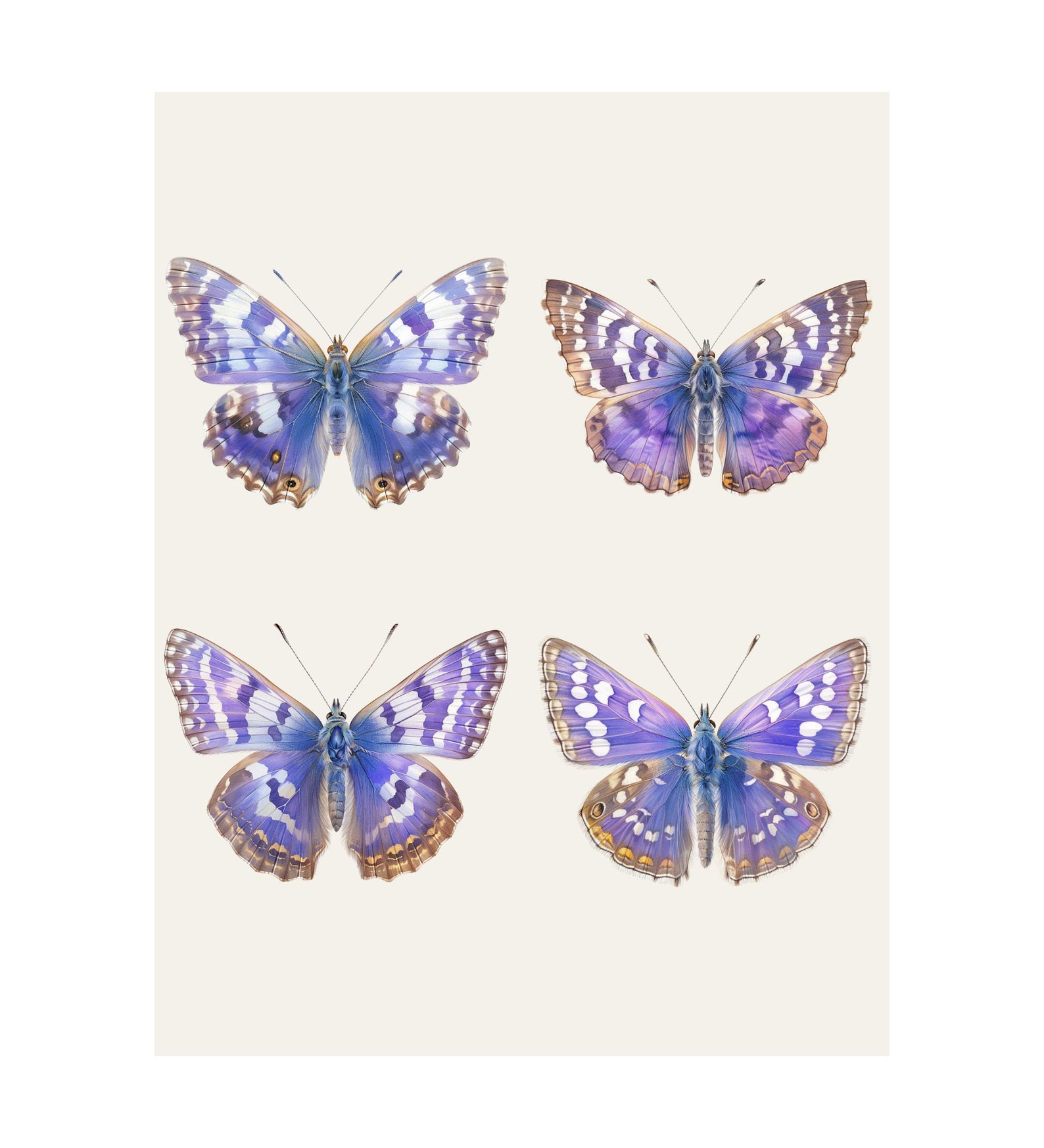 Watercolor Purple Emperor Clipart | Butterfly Collection - 10 Digital ...