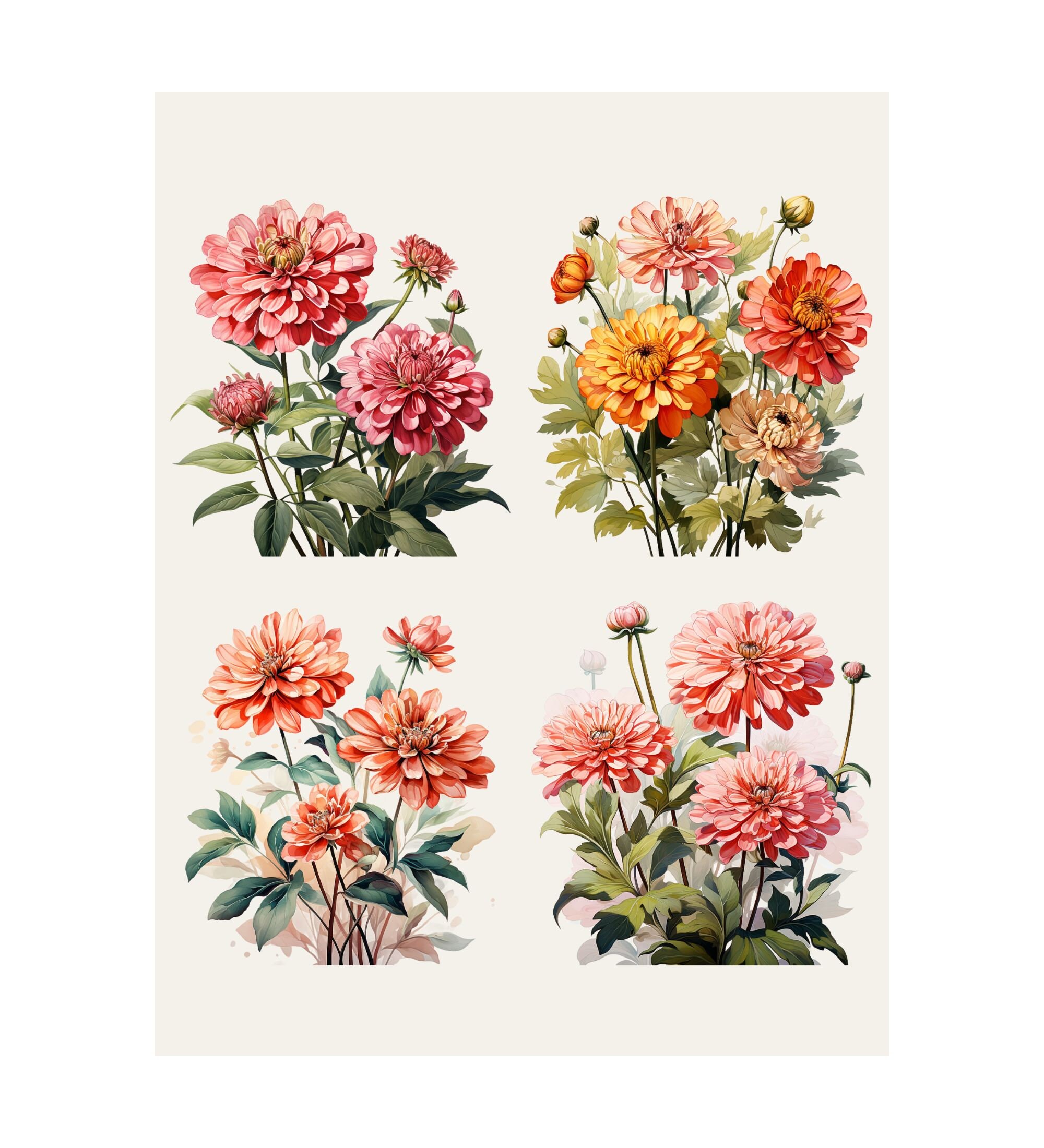 Watercolor Zinnia Clipart | Flower Collection - 10 Digital PNG Flowers ...