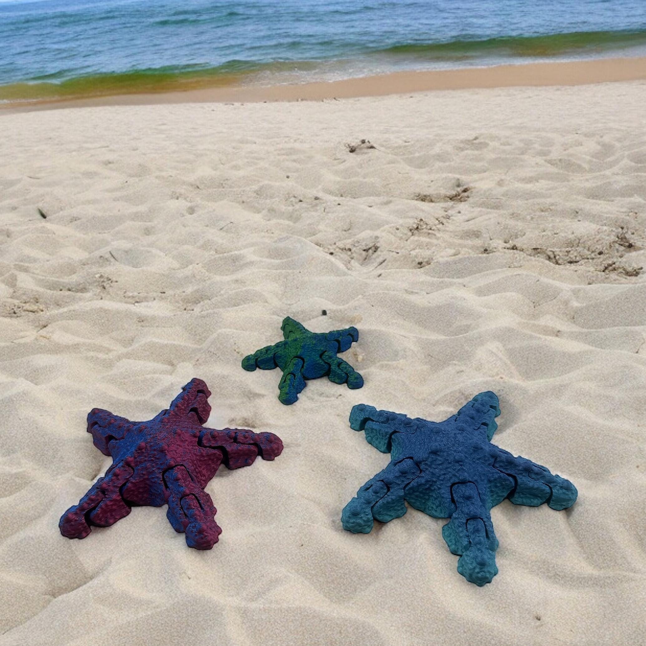 Fidget Starfish 3D Printed - Etsy