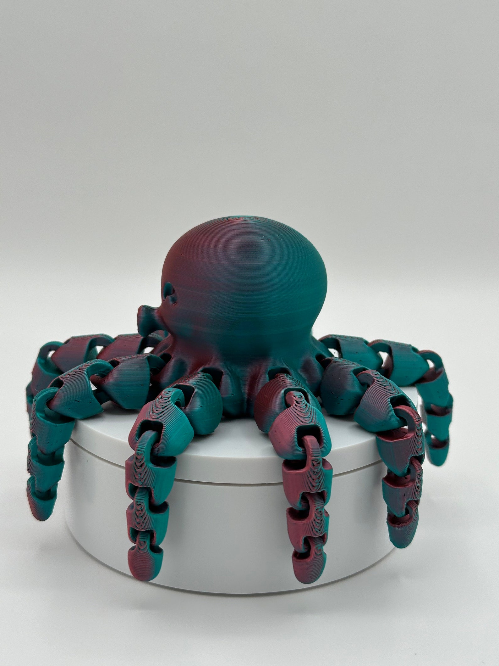 Wiggly Wonder: Fidget Octopus 3D Printed - Etsy
