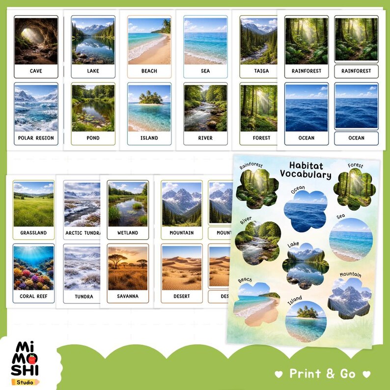 Habitat Vocabulary Flashcards Printable Learning Cards for Kids ...