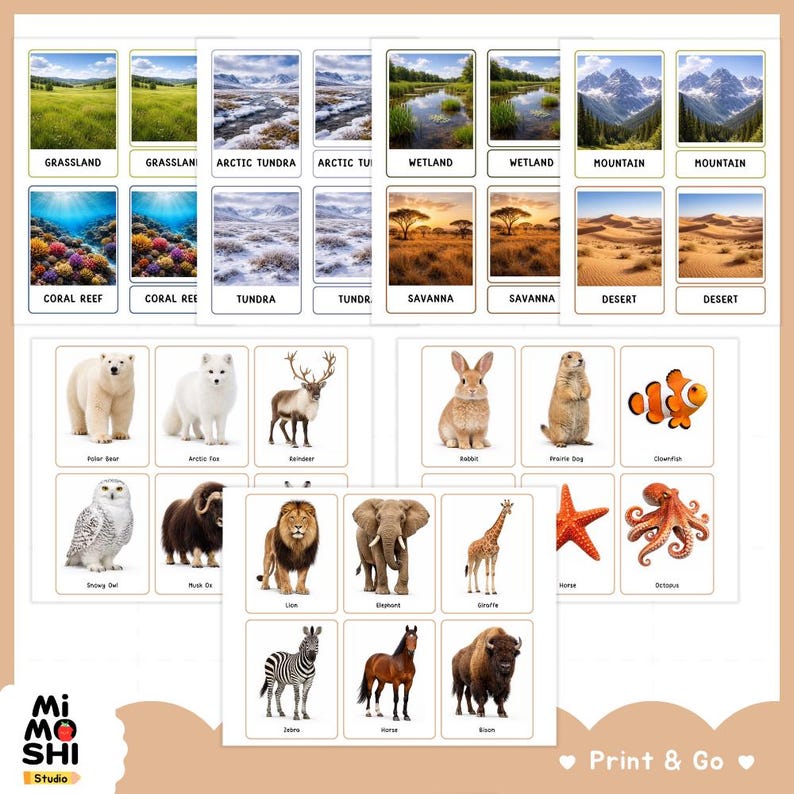 Animal Habitats Sorting Activity Printable Cards Worksheets Vocabulary ...