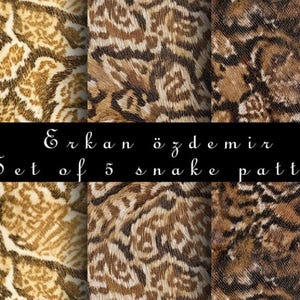 Original Real Snake Skin Print Ready Pattern - Etsy
